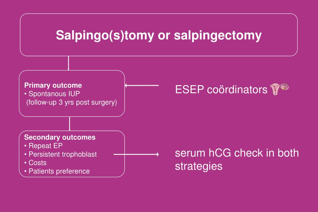 PPT - Salpingo(s)tomy vs salpingectomy impact on future fertility ...