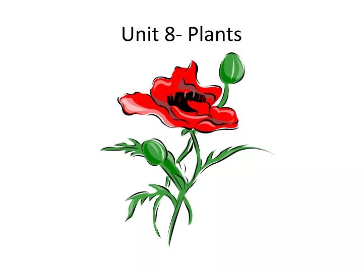 PPT - Unit 8- Plants PowerPoint Presentation, free download - ID:1724271