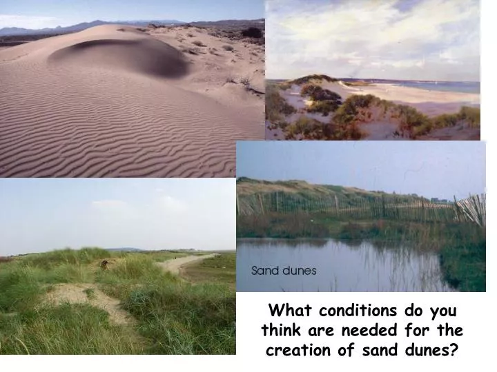 PPT - What conditions do you think are needed for the creation of sand ...