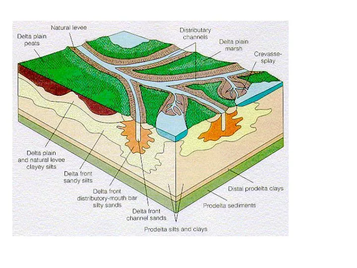 PPT - Foreset Beds PowerPoint Presentation, free download - ID:1724676