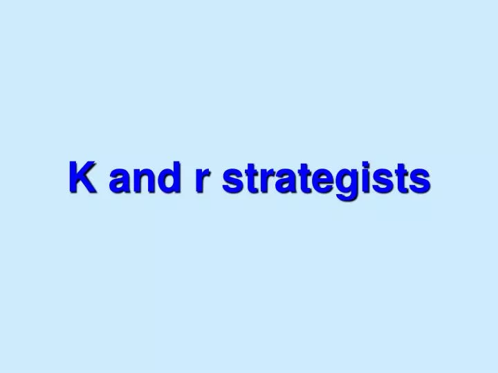 PPT - K and r strategists PowerPoint Presentation, free download - ID ...
