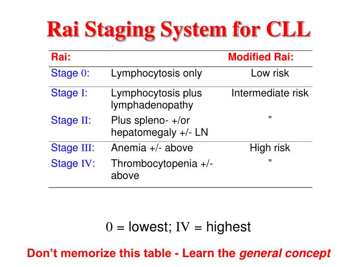 PPT - Chronic Lymphoproliferative Disorders PowerPoint Presentation ...
