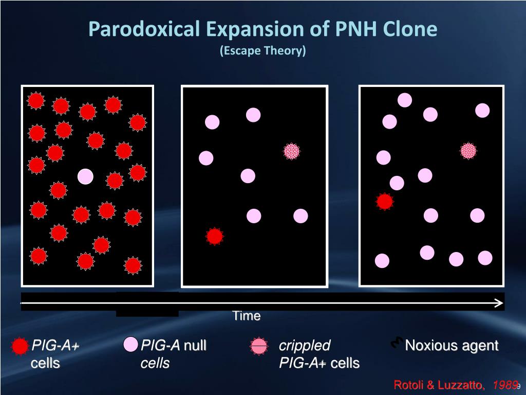 PPT - Advances in Paroxysmal Nocturnal Hemoglobinuria (PNH) PowerPoint ...