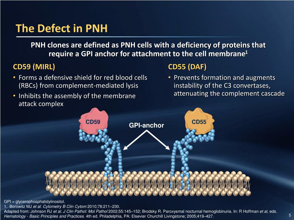 PPT - Advances in Paroxysmal Nocturnal Hemoglobinuria (PNH) PowerPoint ...