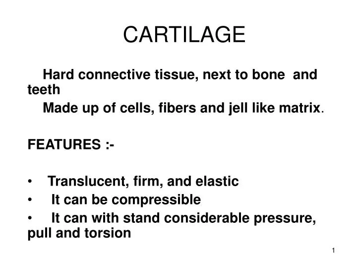 PPT - CARTILAGE PowerPoint Presentation, free download - ID:1725389