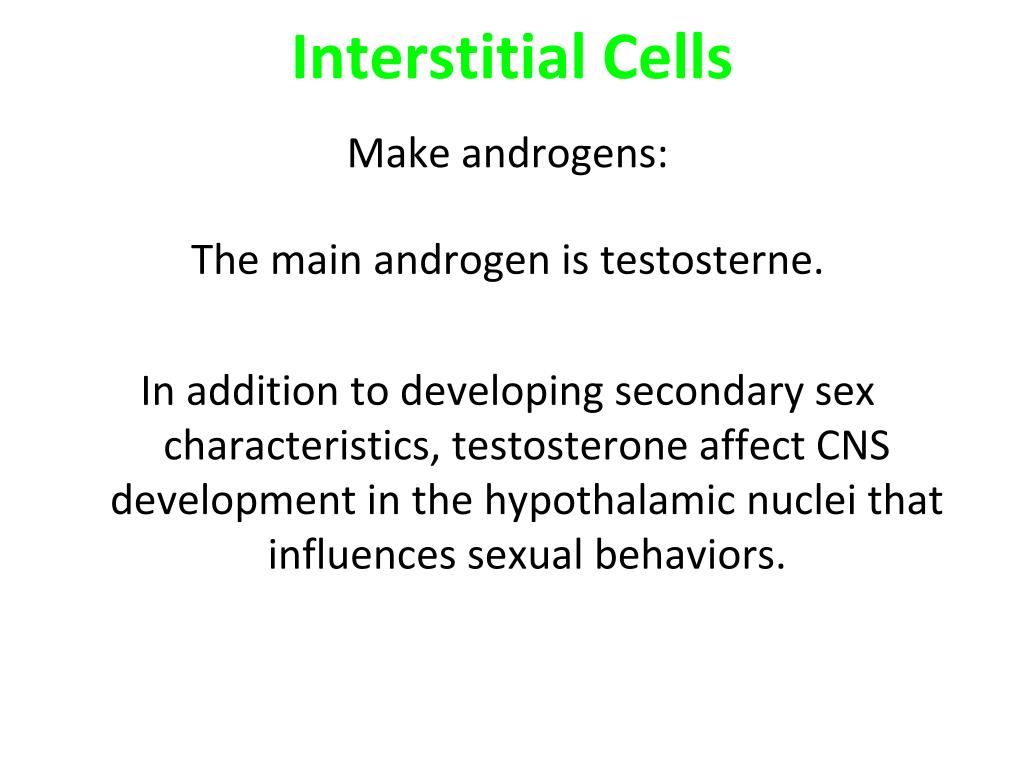 PPT - Understanding Endocrine Glands and Hormones in the Abdominopelvic ...