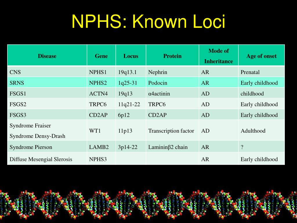 PPT - Association of a 3-Amino Acid Deletion Mutation of NPHS2 gene ...