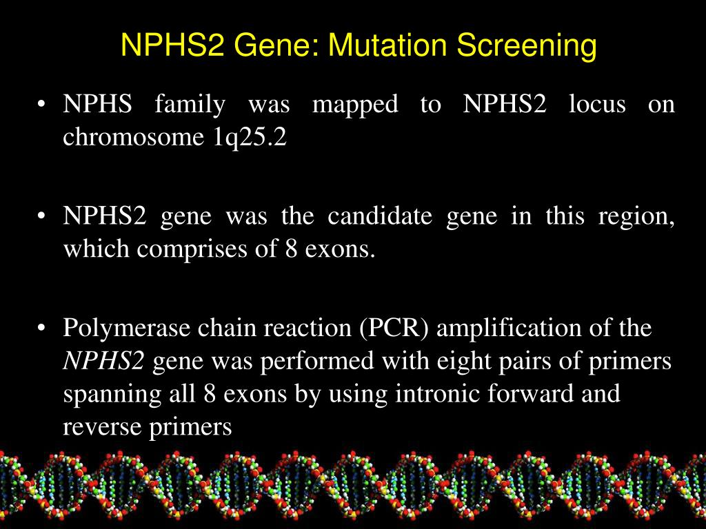 PPT - Association of a 3-Amino Acid Deletion Mutation of NPHS2 gene ...