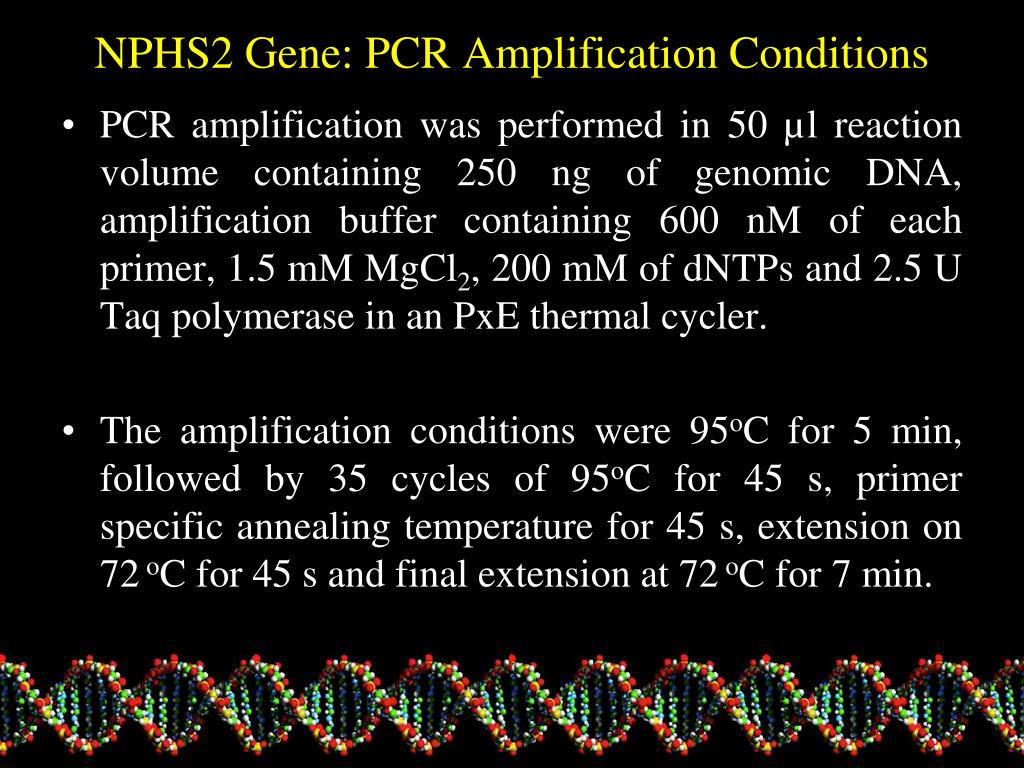 PPT - Association of a 3-Amino Acid Deletion Mutation of NPHS2 gene ...
