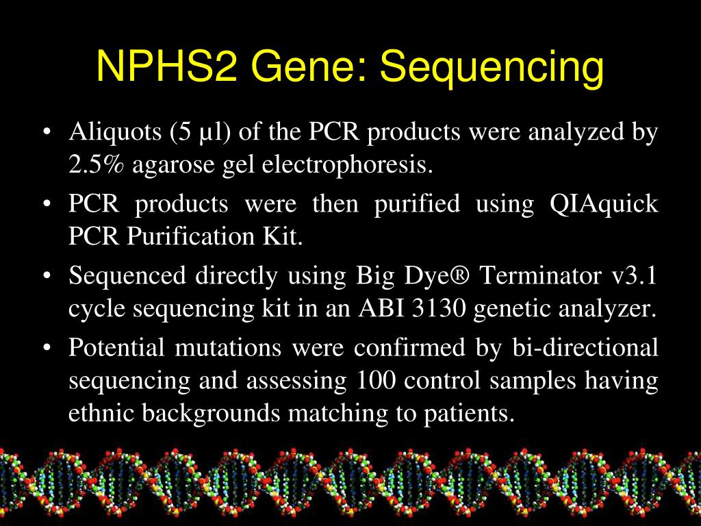 PPT - Association of a 3-Amino Acid Deletion Mutation of NPHS2 gene ...