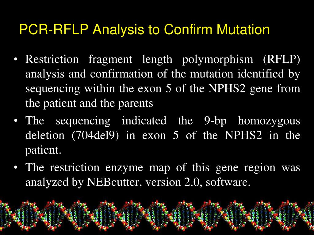 PPT - Association of a 3-Amino Acid Deletion Mutation of NPHS2 gene ...