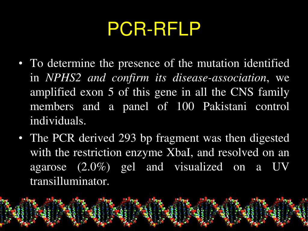 PPT - Association of a 3-Amino Acid Deletion Mutation of NPHS2 gene ...