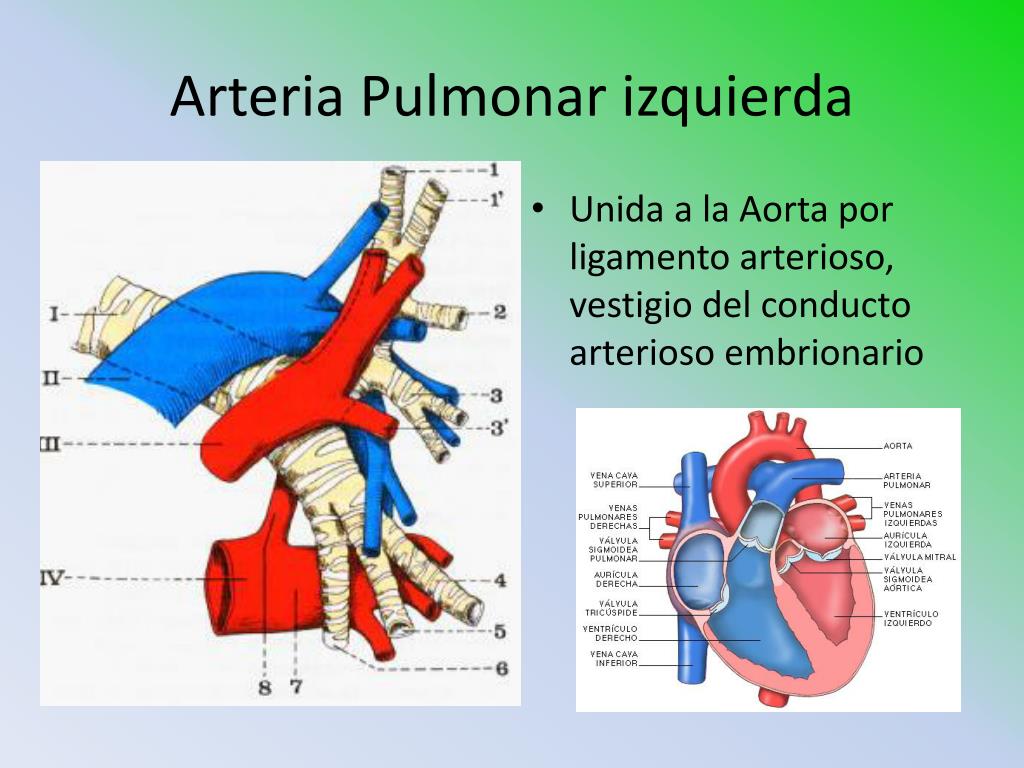 PPT - Universidad Nacional de La Matanza PowerPoint Presentation, free ...