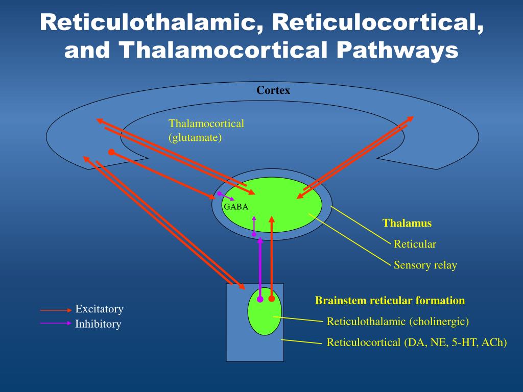 PPT - Forensic Neuropsychiatry Committee Course Review of Clinical ...