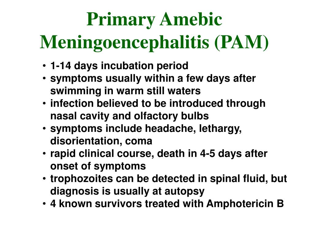 PPT - Naegleria fowleri primary amebic meningoencephalitis (PAM ...