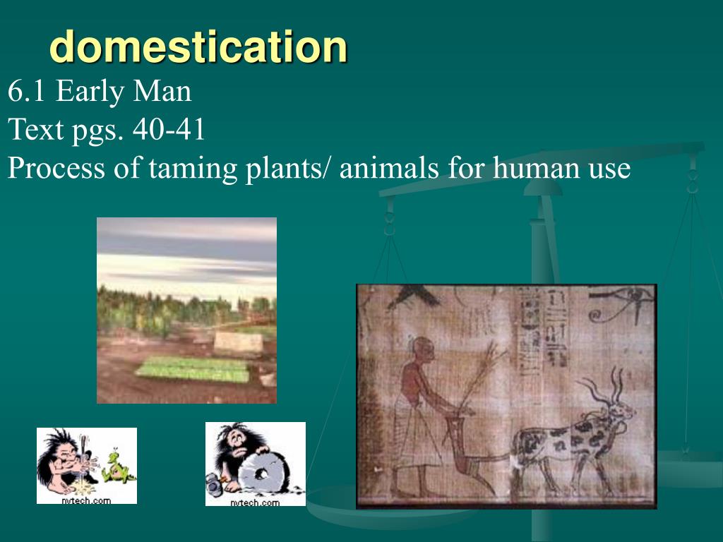 PPT - 6th Grade Social Studies Content Vocabulary PowerPoint ...