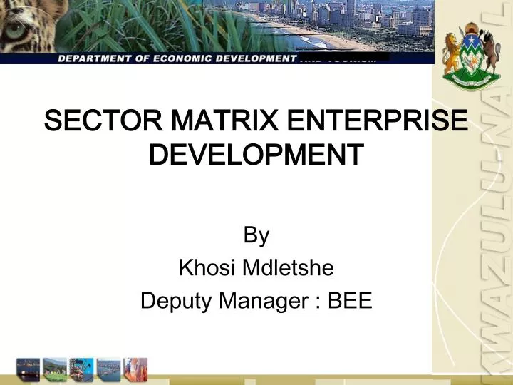PPT - SECTOR MATRIX ENTERPRISE DEVELOPMENT PowerPoint Presentation ...