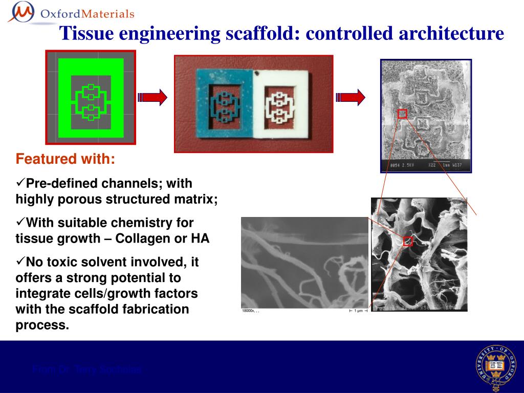 PPT - Asma Yahyouche Biomaterials Group Department of Materials ...
