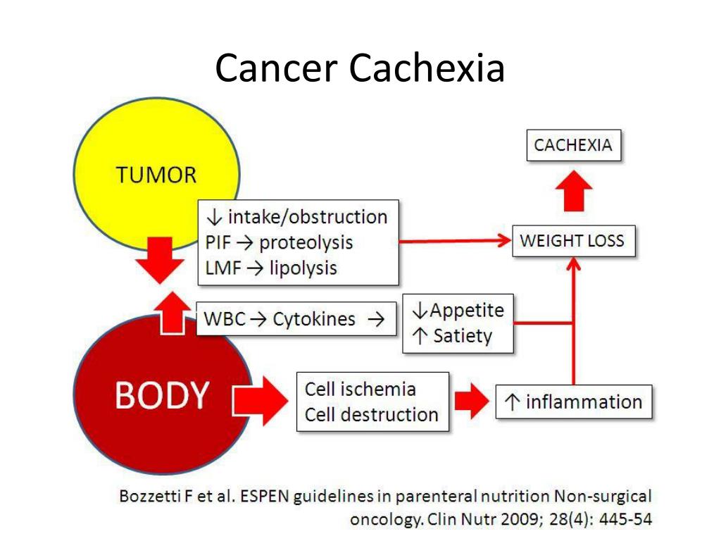 PPT - Malnutrition in surgical patients PowerPoint Presentation, free ...