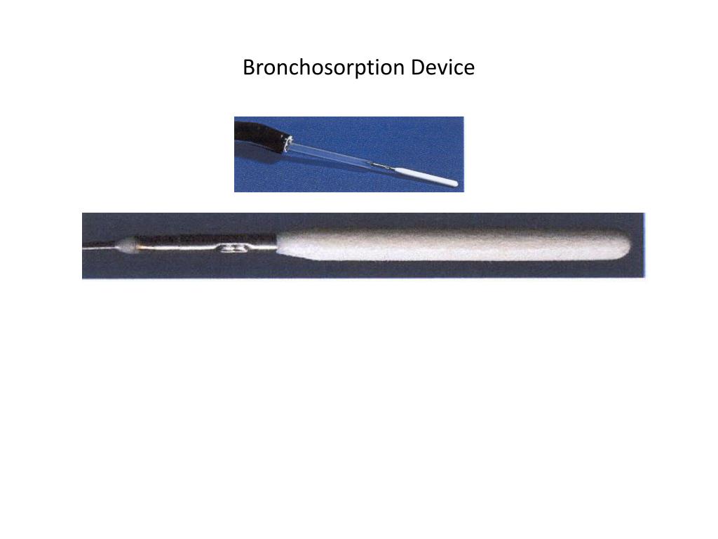 PPT - Rhinovirus Induces Th2 cytokines and chemokines in the Airways in ...