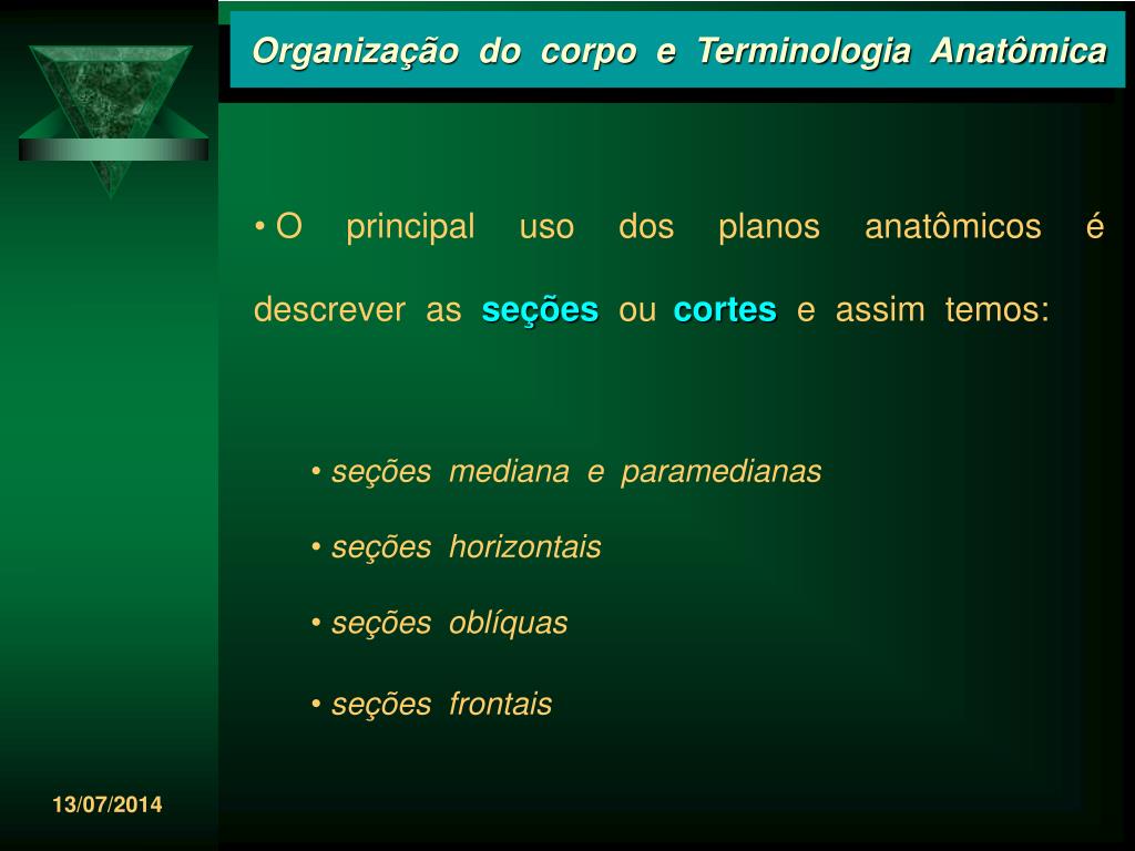 PPT - Organização do corpo e Terminologia Anatômica PowerPoint ...