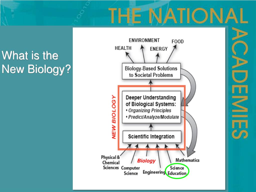 PPT - Board on Life Sciences A New Biology for the 21 st Century ...