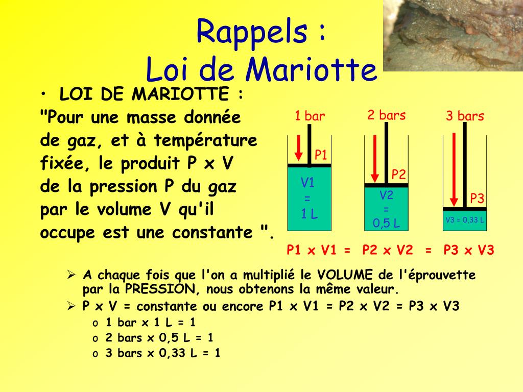 PPT - Les accidents de plongée Les risques encourus par le PLONGEUR ...