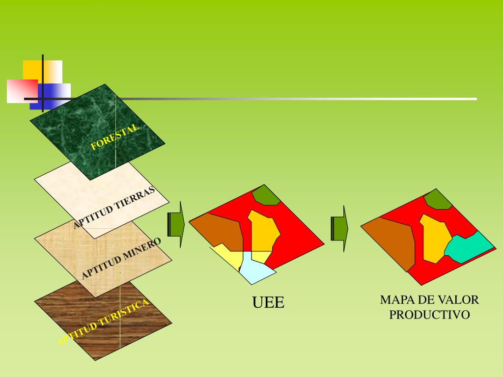 PPT - Wagner Guzmán Castillo (IIAP) INSTITUTO DE INVESTIGACIONES DE LA ...