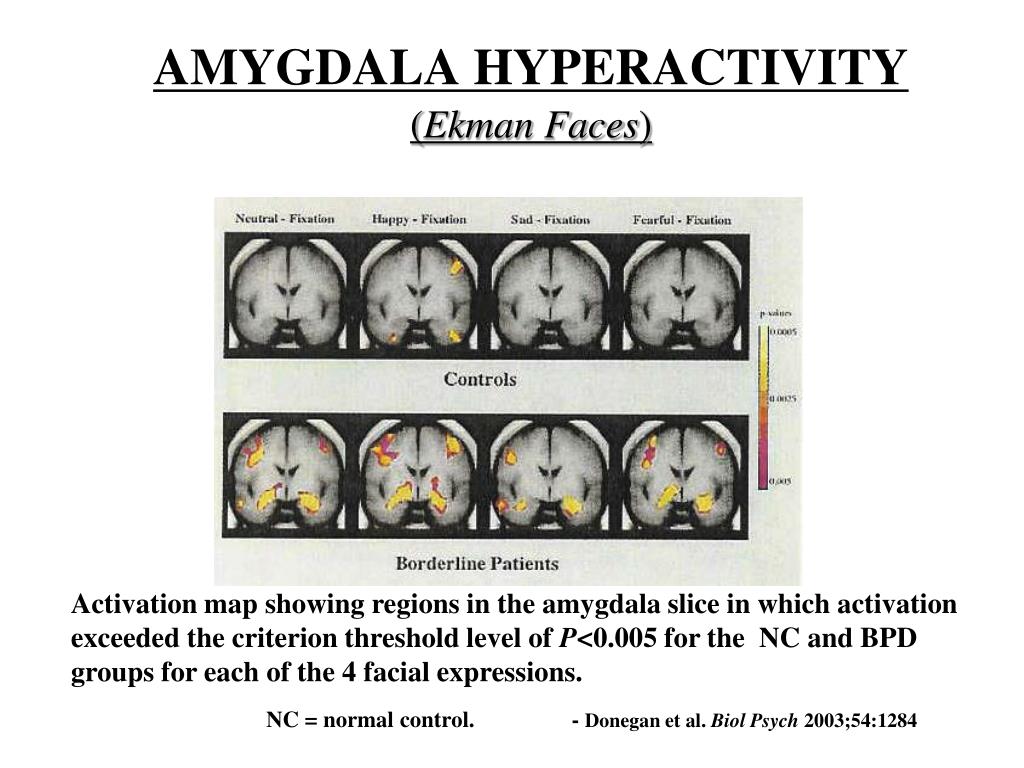 PPT - John G. Gunderson, MD PowerPoint Presentation, free download - ID ...