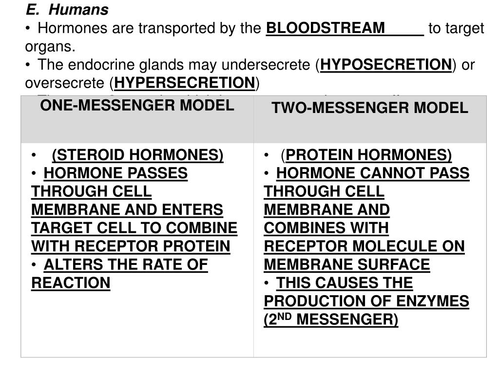 PPT - THE ENDOCRINE SYSTEM Mrs. Woytowich Regents Biology PowerPoint ...