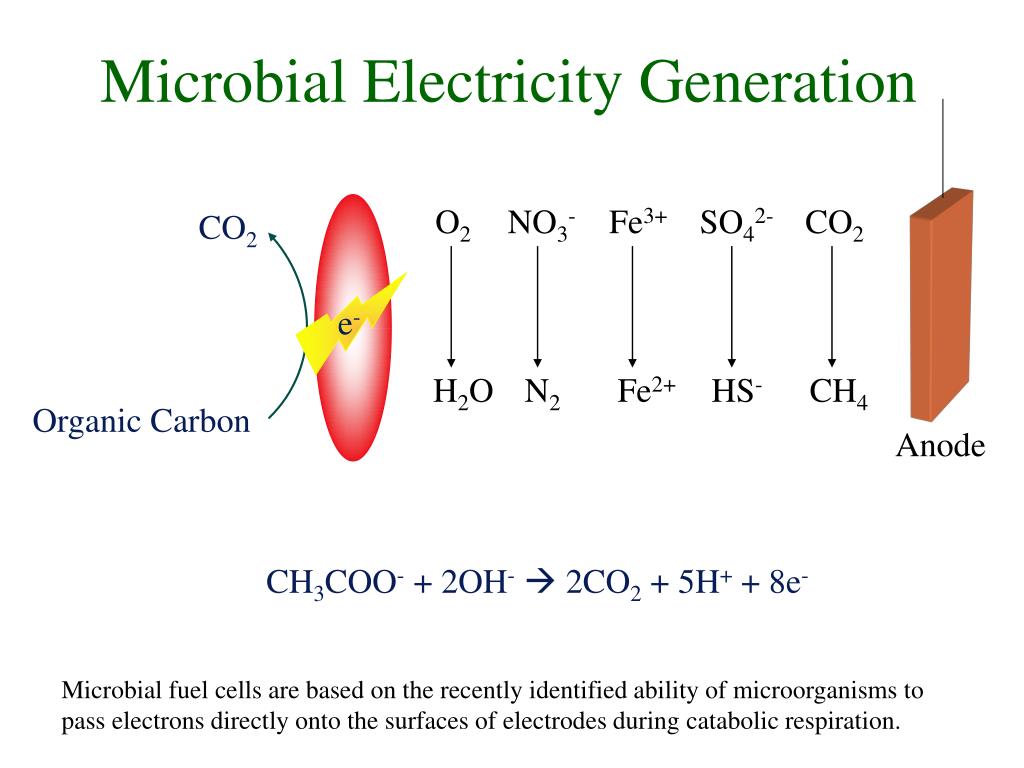 PPT - Exploring the Potential of Microbial Fuel Cells for Sustainable ...