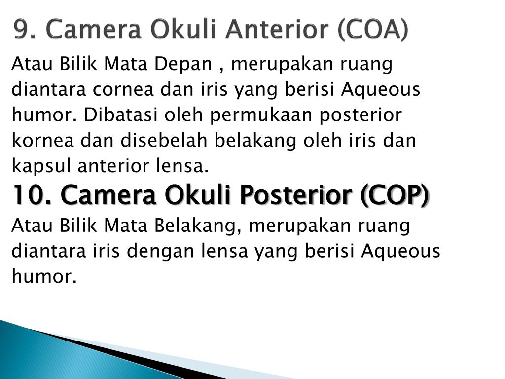 PPT - ANATOMI FISIOLOGI MATA PowerPoint Presentation, free download ...