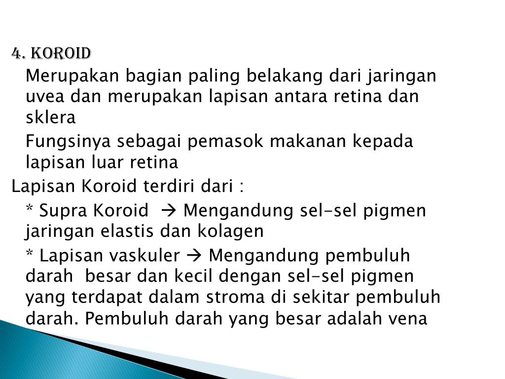 PPT - ANATOMI FISIOLOGI MATA PowerPoint Presentation, free download ...