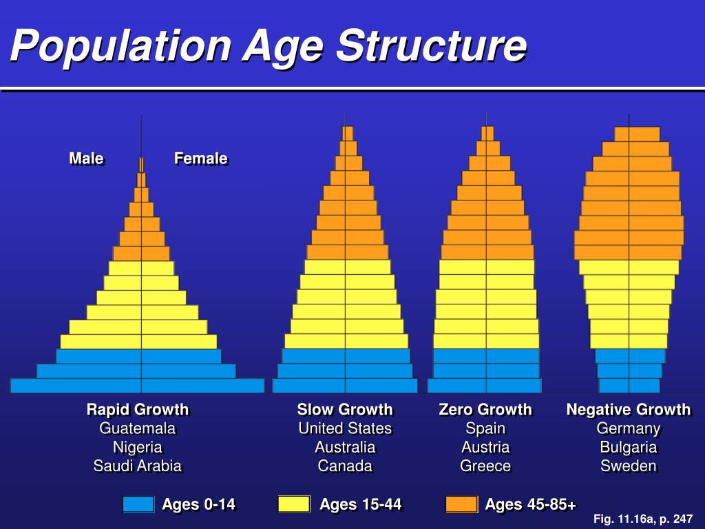PPT - The Human Population: Growth, Demography, and Carrying Capacity ...
