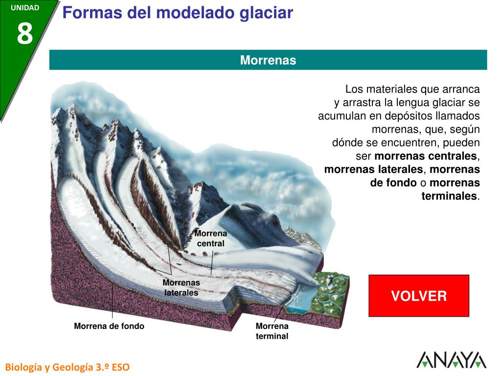 PPT - Biología y Geología 3.º ESO PowerPoint Presentation, free ...