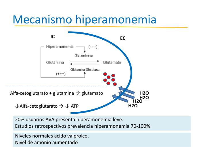 PPT - EFECTOS ADVERSOS ACIDO VALPROICO PowerPoint Presentation - ID:1734573