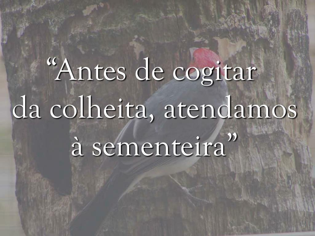 PPT - “O fardo mais pesado que se carrega no mundo somos nós mesmos ...