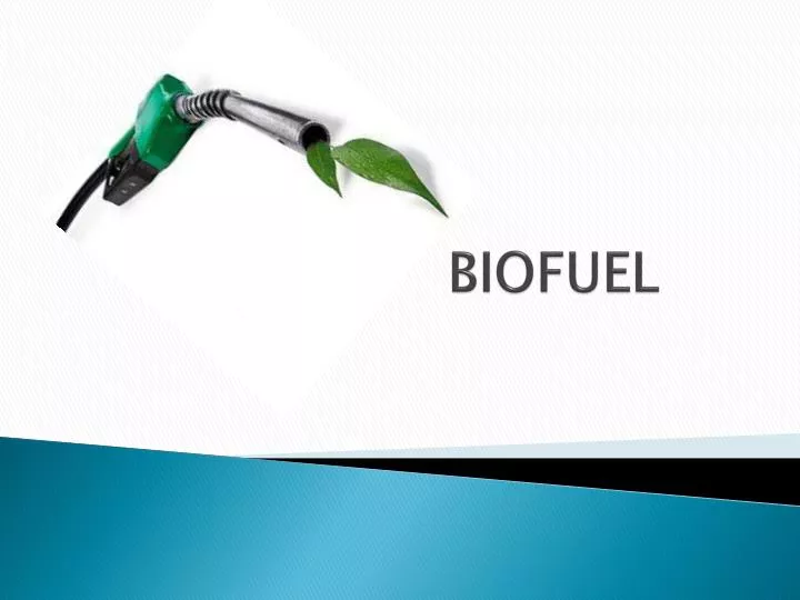 PPT - BIOFUEL PowerPoint Presentation, free download - ID:1734740