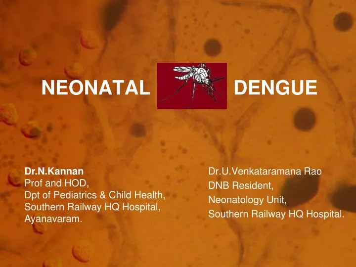PPT - NEONATAL DENGUE PowerPoint Presentation, free download - ID:1735126