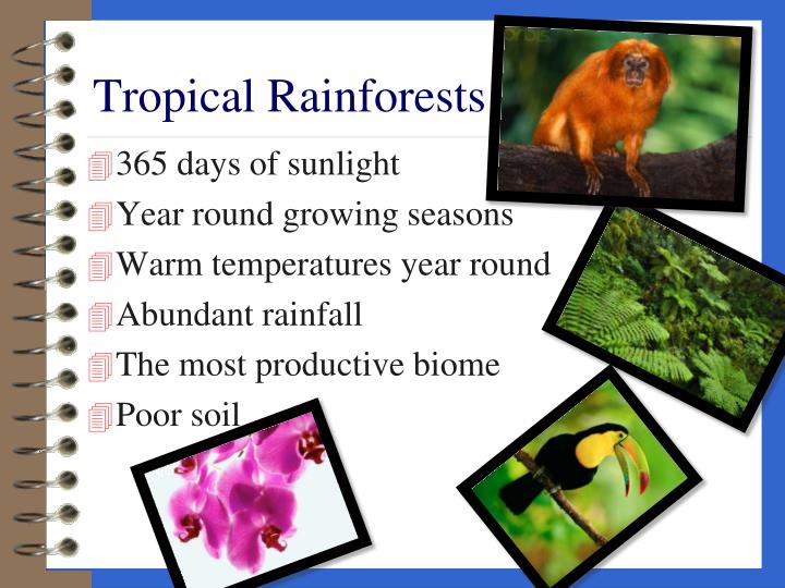 PPT - Biomes PowerPoint Presentation - ID:1736058