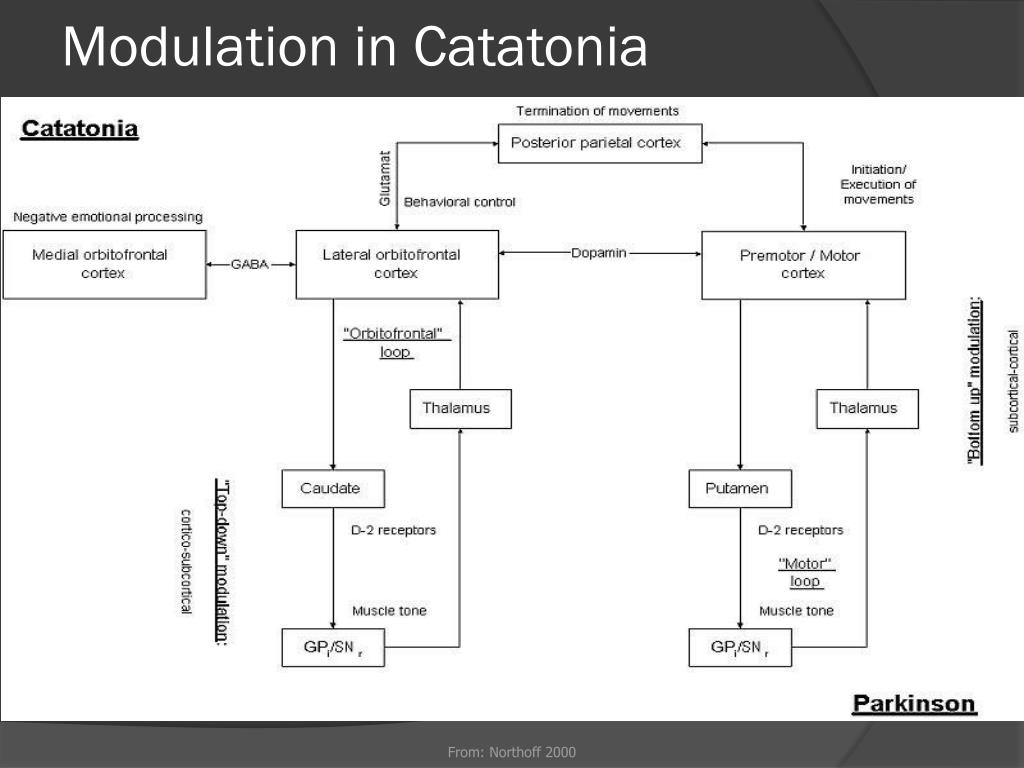 PPT - Clinical Dilemmas: the Differentiation between Lethal Catatonia ...
