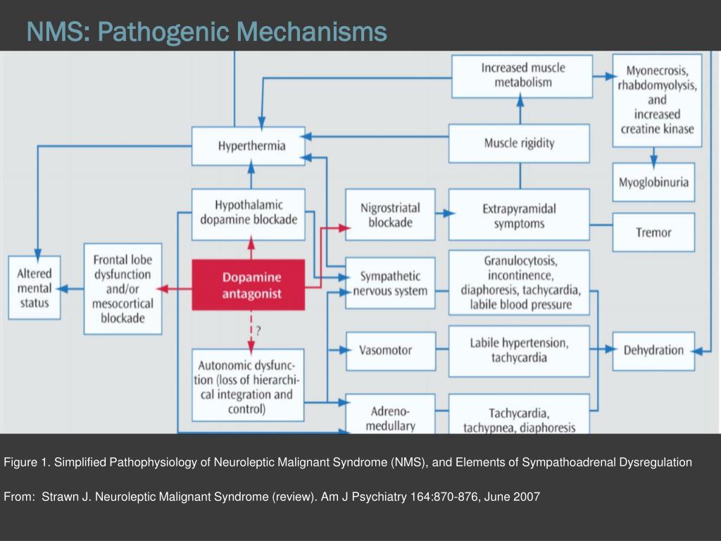 PPT - Clinical Dilemmas: the Differentiation between Lethal Catatonia ...