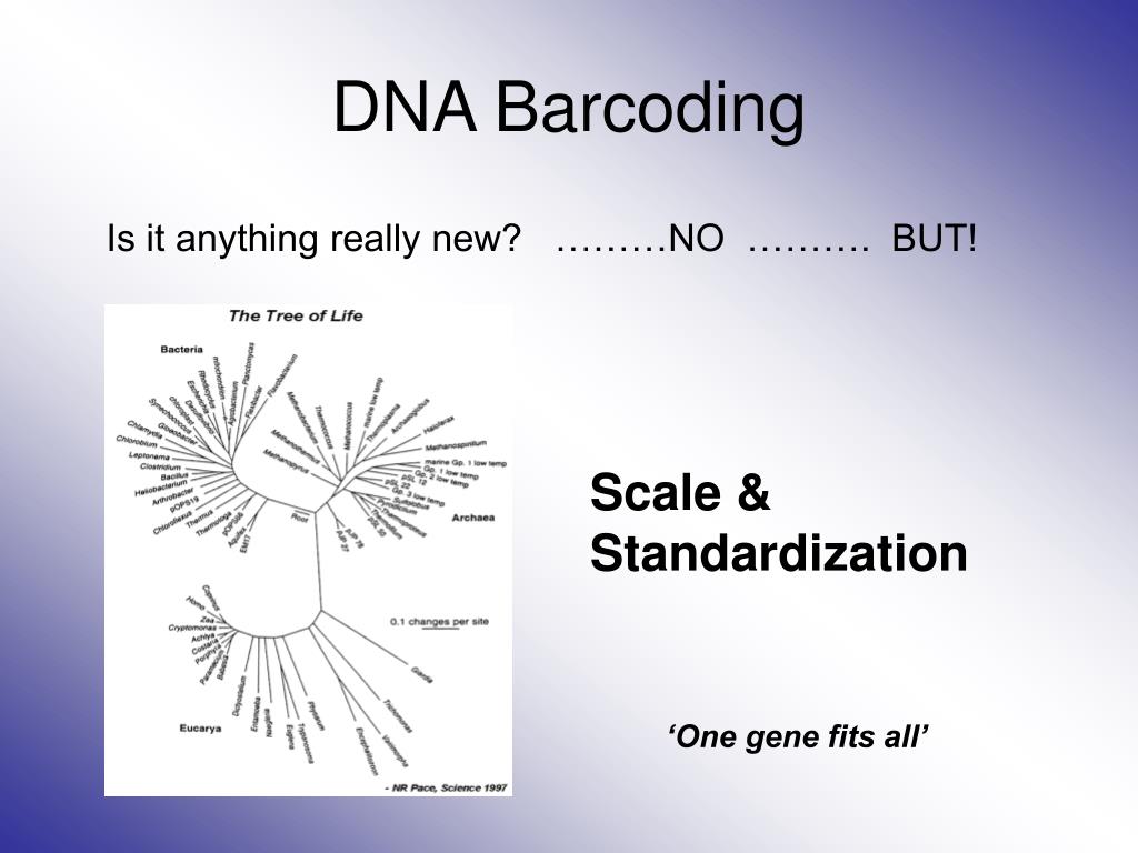 PPT - Ten species in one: DNA barcoding reveals cryptic species in the ...