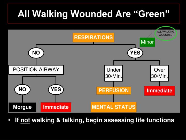 PPT - Mass Casualty & Disaster Triage PowerPoint Presentation - ID:1737398