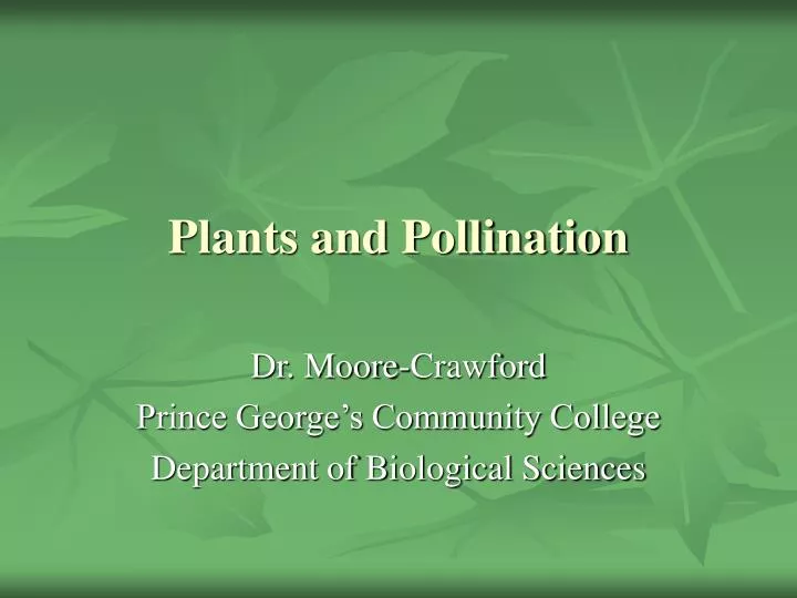 PPT - Plants and Pollination PowerPoint Presentation, free download ...