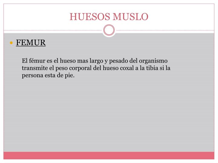 PPT - MIEMBRO INFERIOR HUESOS Y ARTICULACIONES PowerPoint Presentation ...