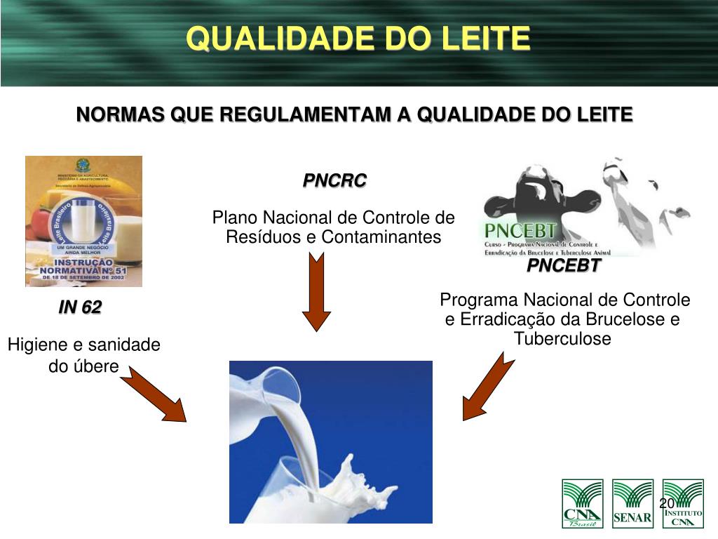PPT - CENÁRIOS E OPORTUNIDADES PARA A PRODUÇÃO DE LEITE NO BRASIL ...