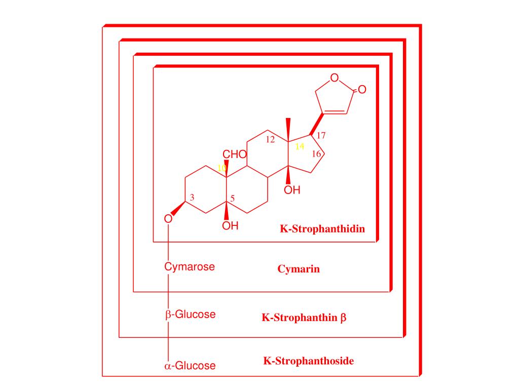 PPT - The Cardiac Glycosides Cardio-active Glycosides PowerPoint ...