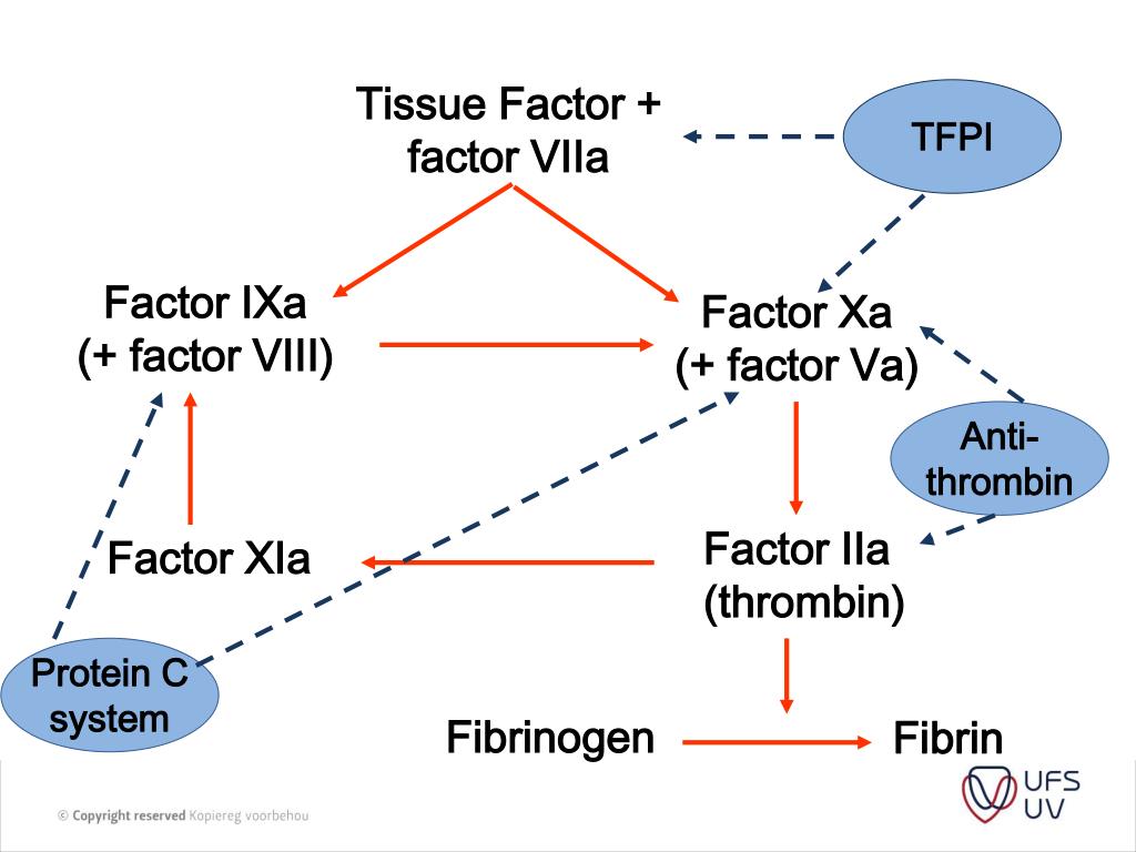 PPT - Perioperative coagulopathy in coronary artery bypass surgery ...