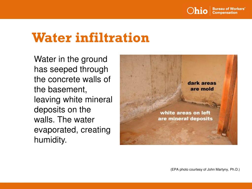 PPT - Mold and Other Indoor Air Quality Concerns PowerPoint ...